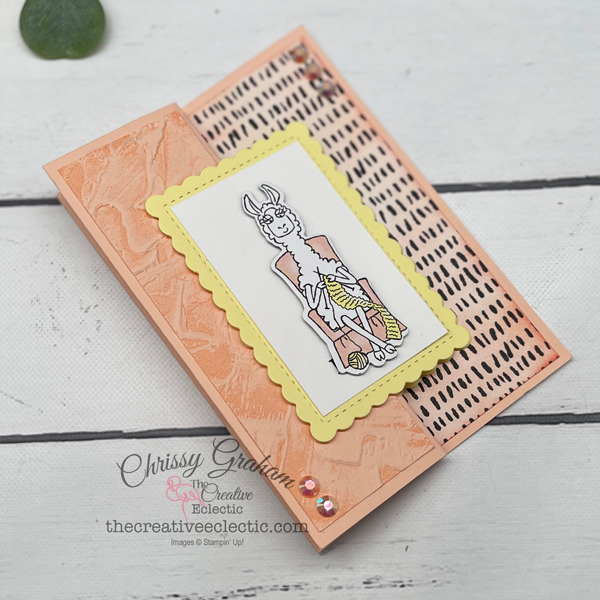 Zany Zoo Fun - The Creative Eclectic