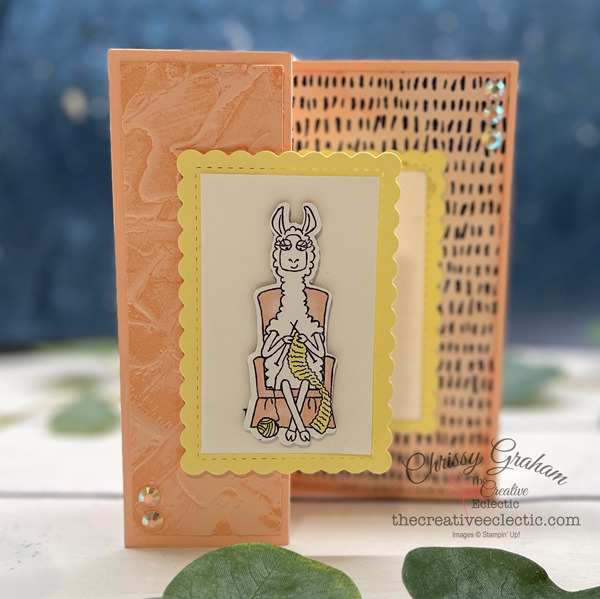 Zany Zoo Fun - The Creative Eclectic